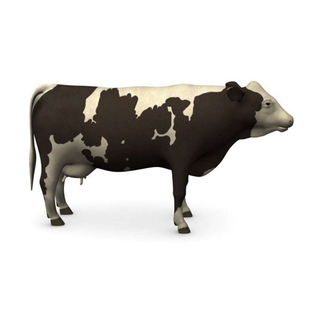 Bull Cow 3d Model