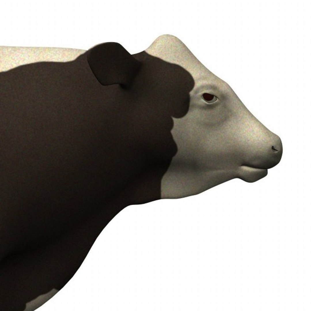 Bull Cow 3d Model