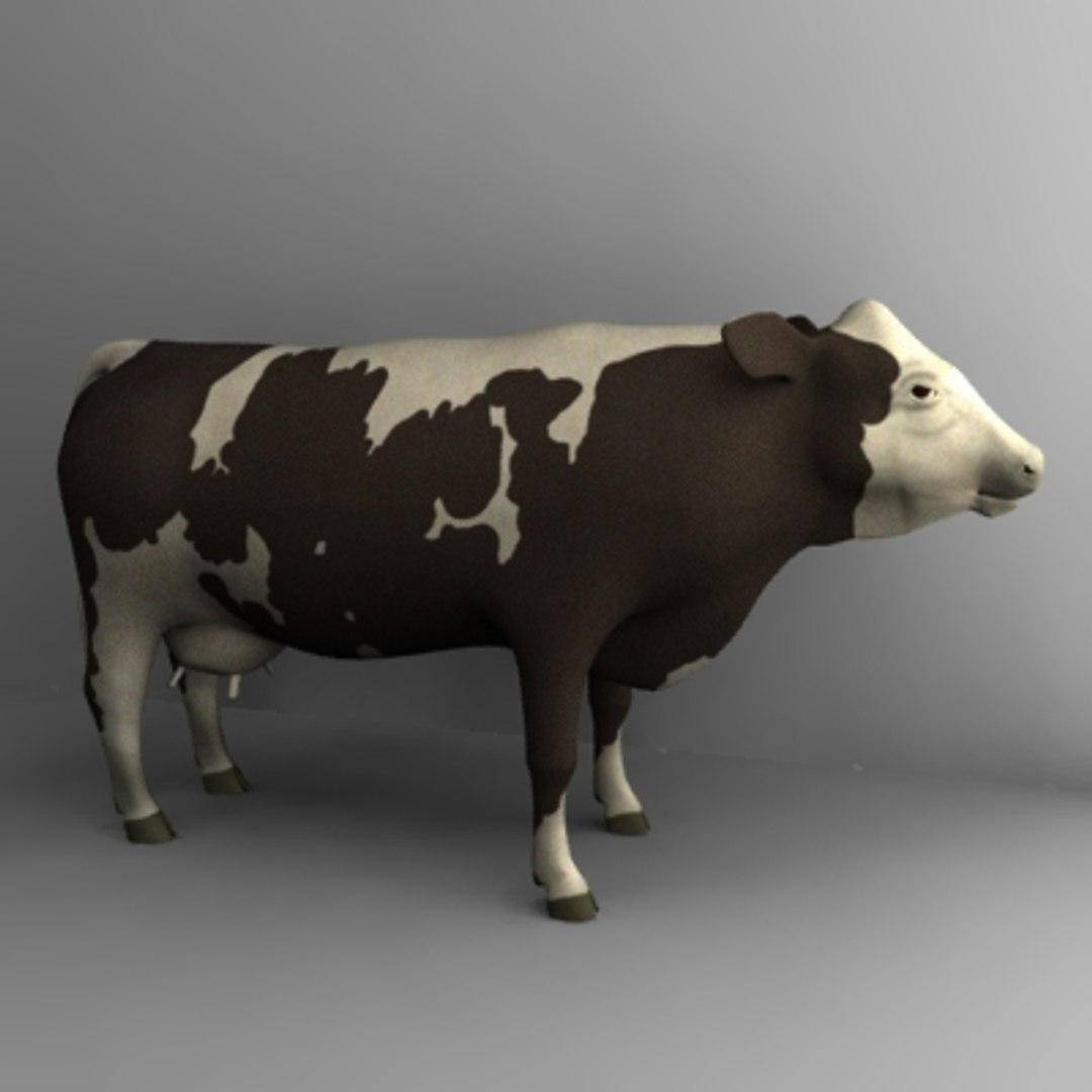 Bull Cow 3d Model