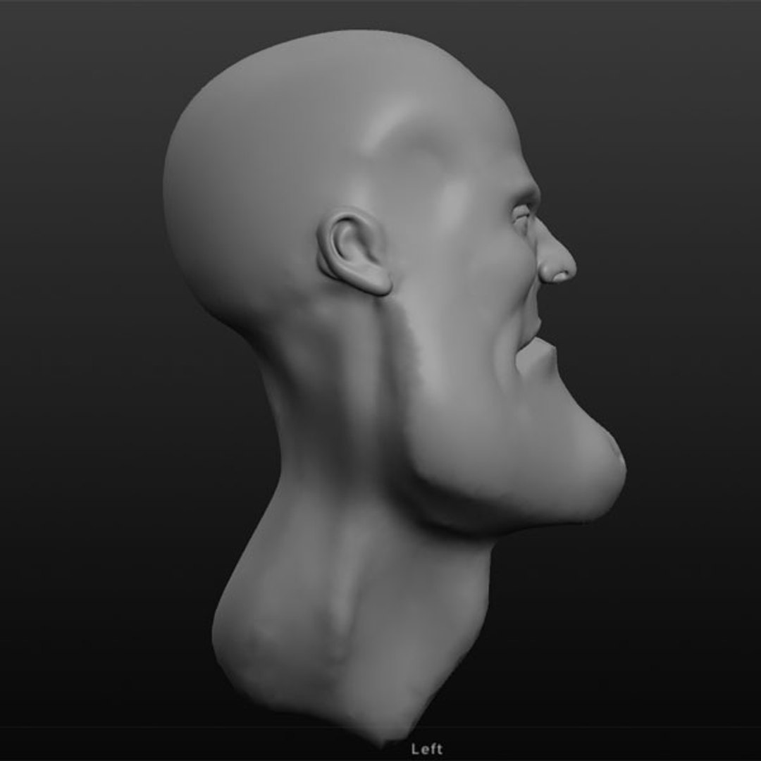 Free Male Head 3d Model