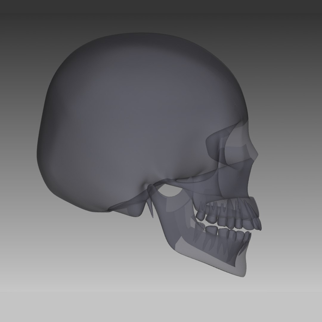 Ma Igs Skull