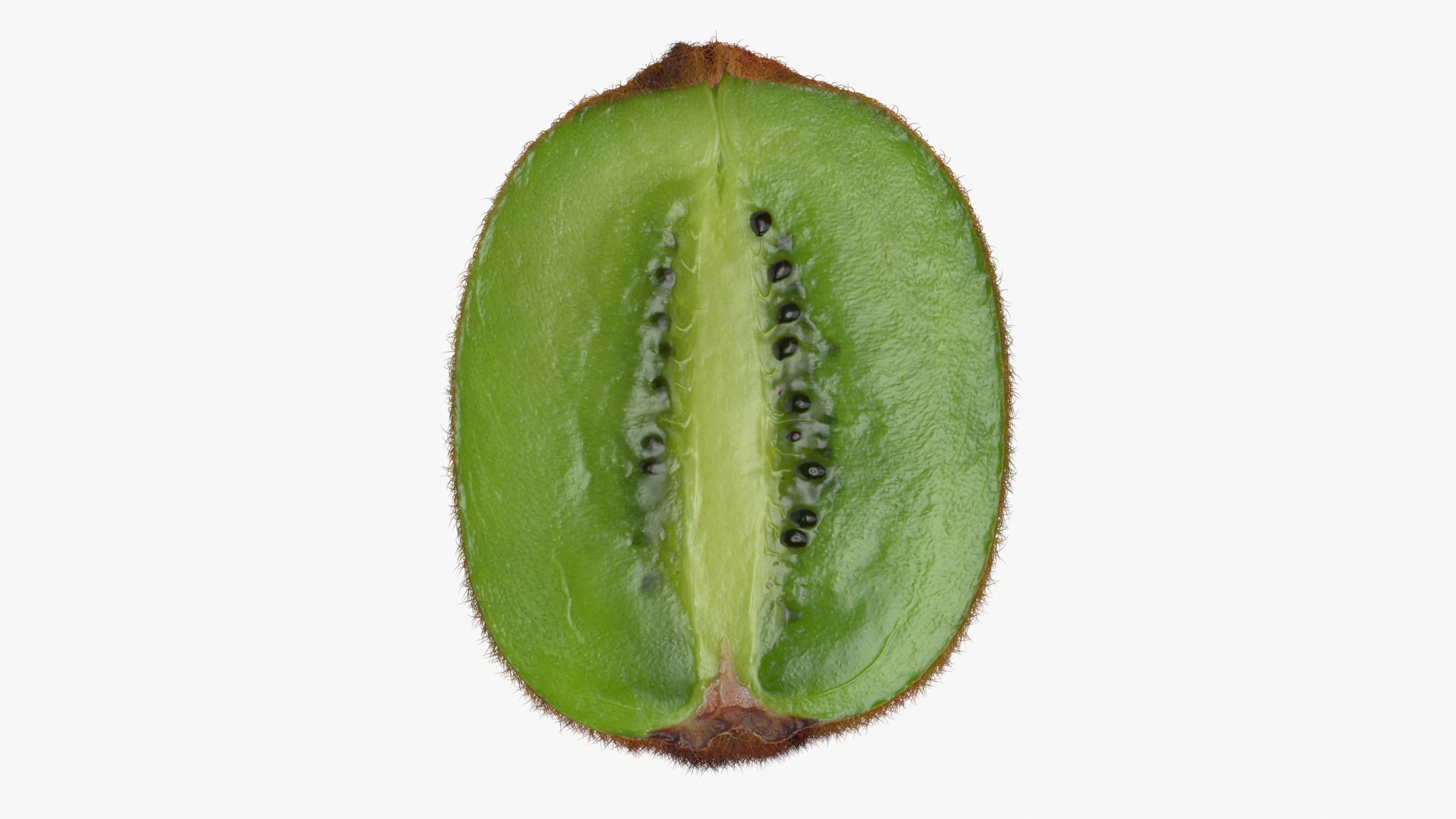 Kiwi Slice Collection 3D Model - TurboSquid 2267897
