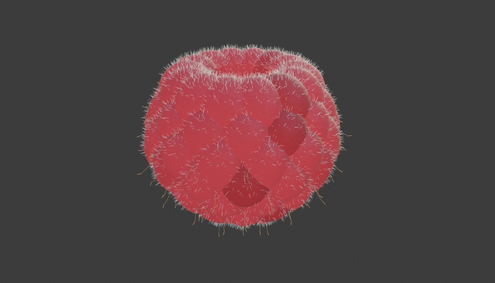 3D Raspberry Model - TurboSquid 1604716