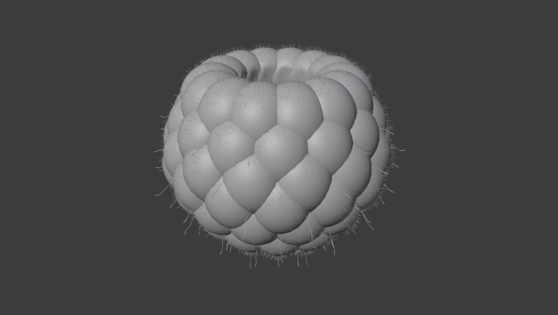 3D Raspberry Model - TurboSquid 1604716
