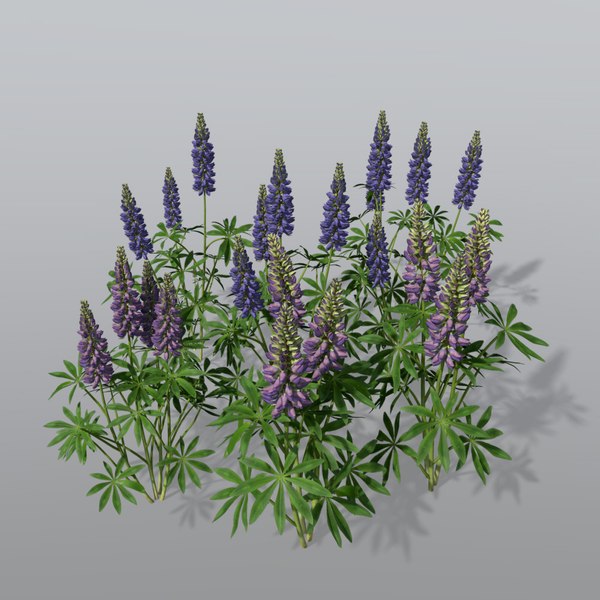 c4d shrub hedges