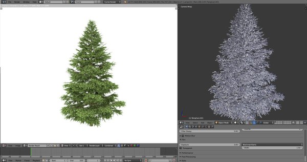 Tree spruce conifer 3D model - TurboSquid 1673237