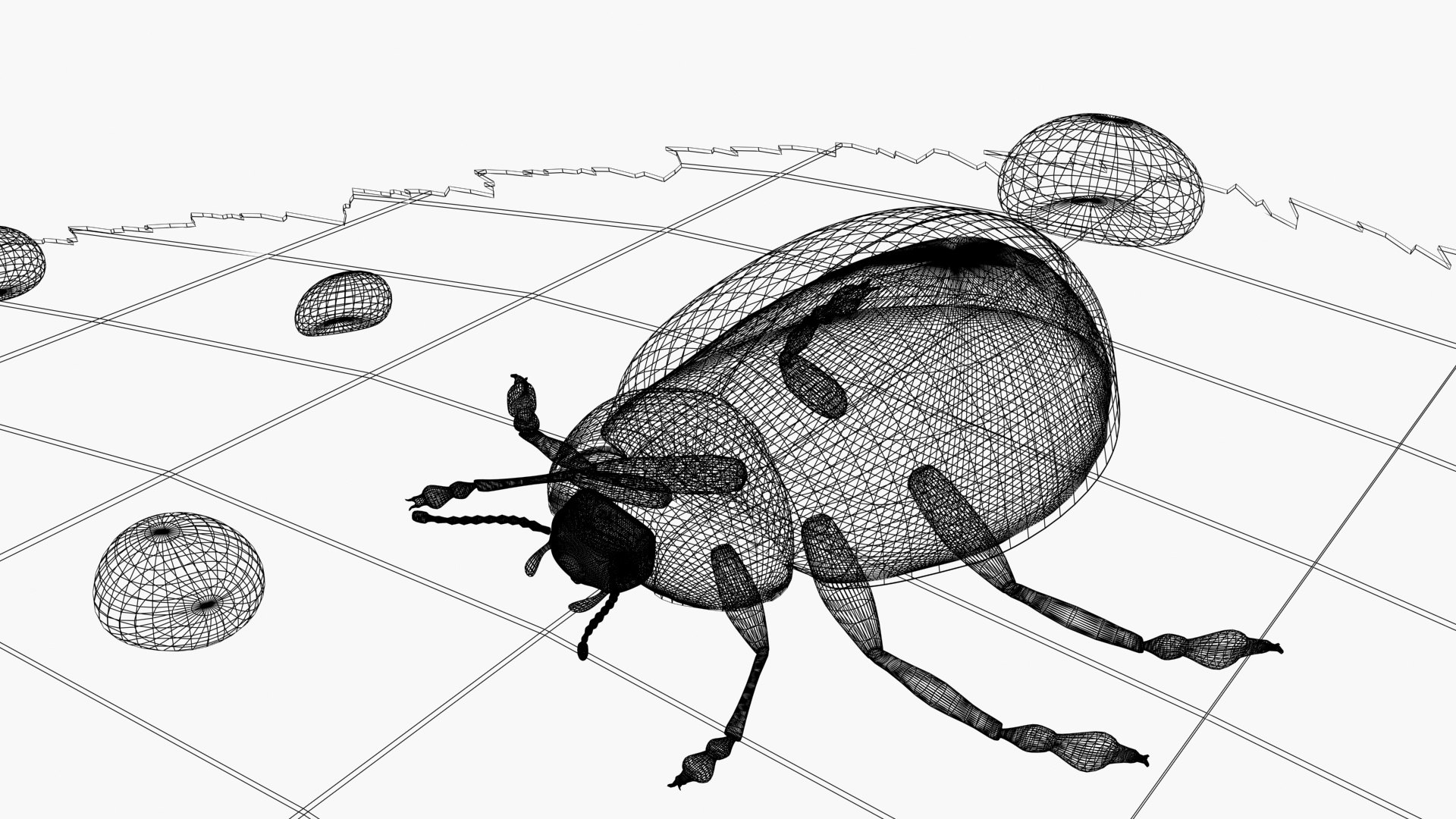 3D Ladybird Model - TurboSquid 2103516