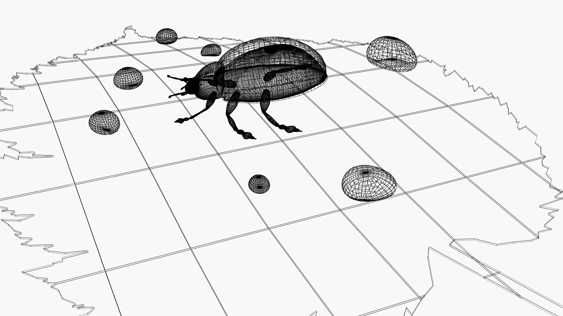 3D Ladybird Model - TurboSquid 2103516