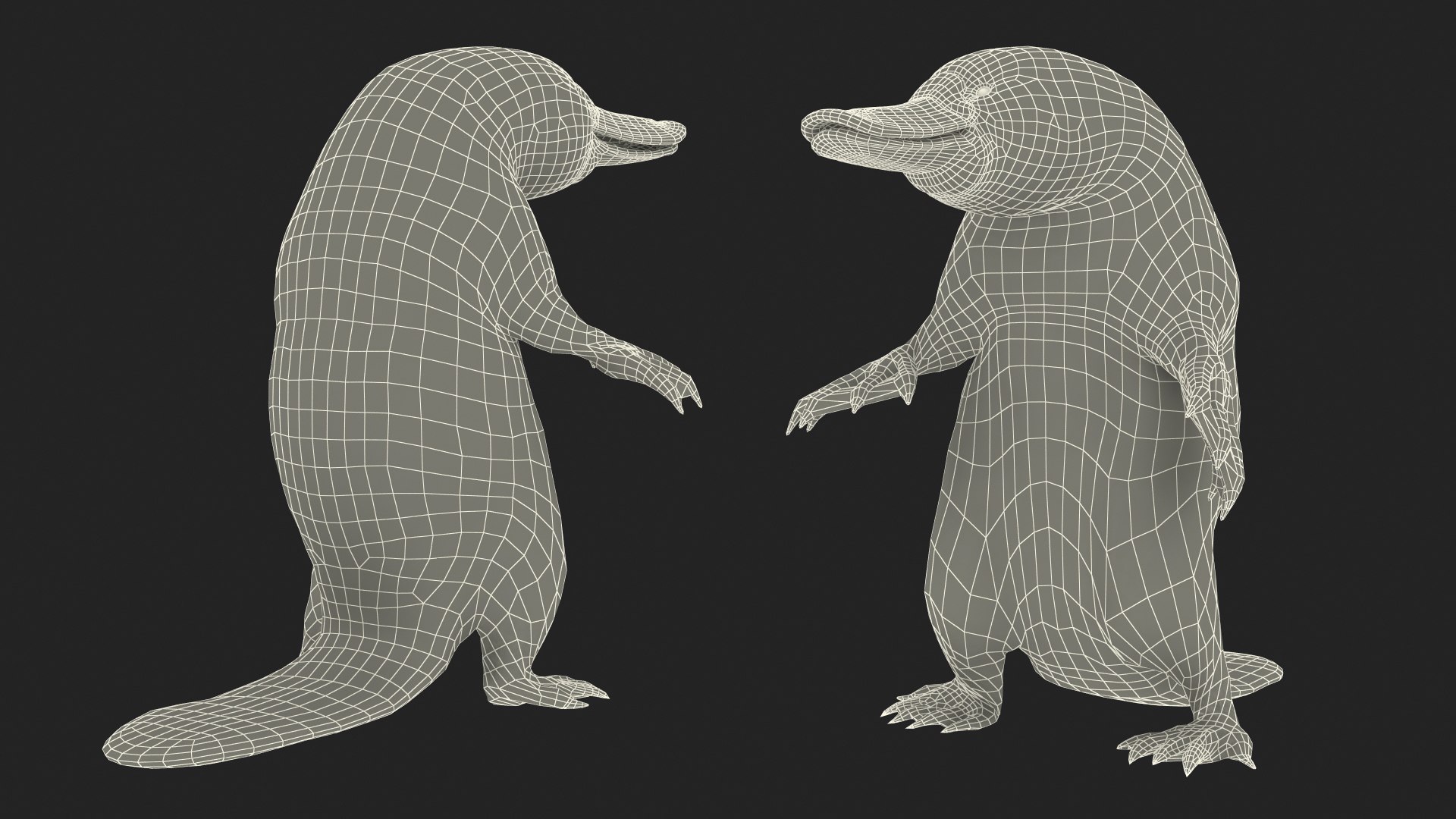 3D Standing Platypus - TurboSquid 2158226