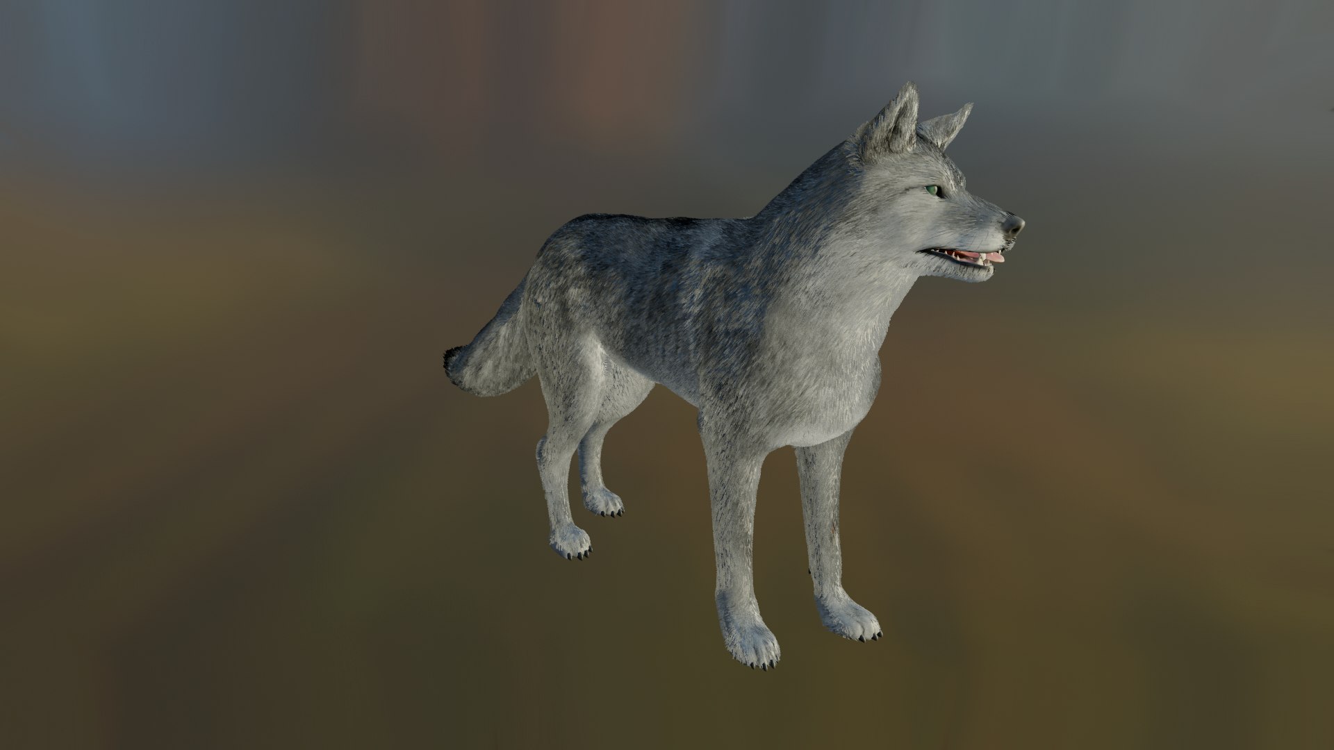 3D Wolf - TurboSquid 1939101