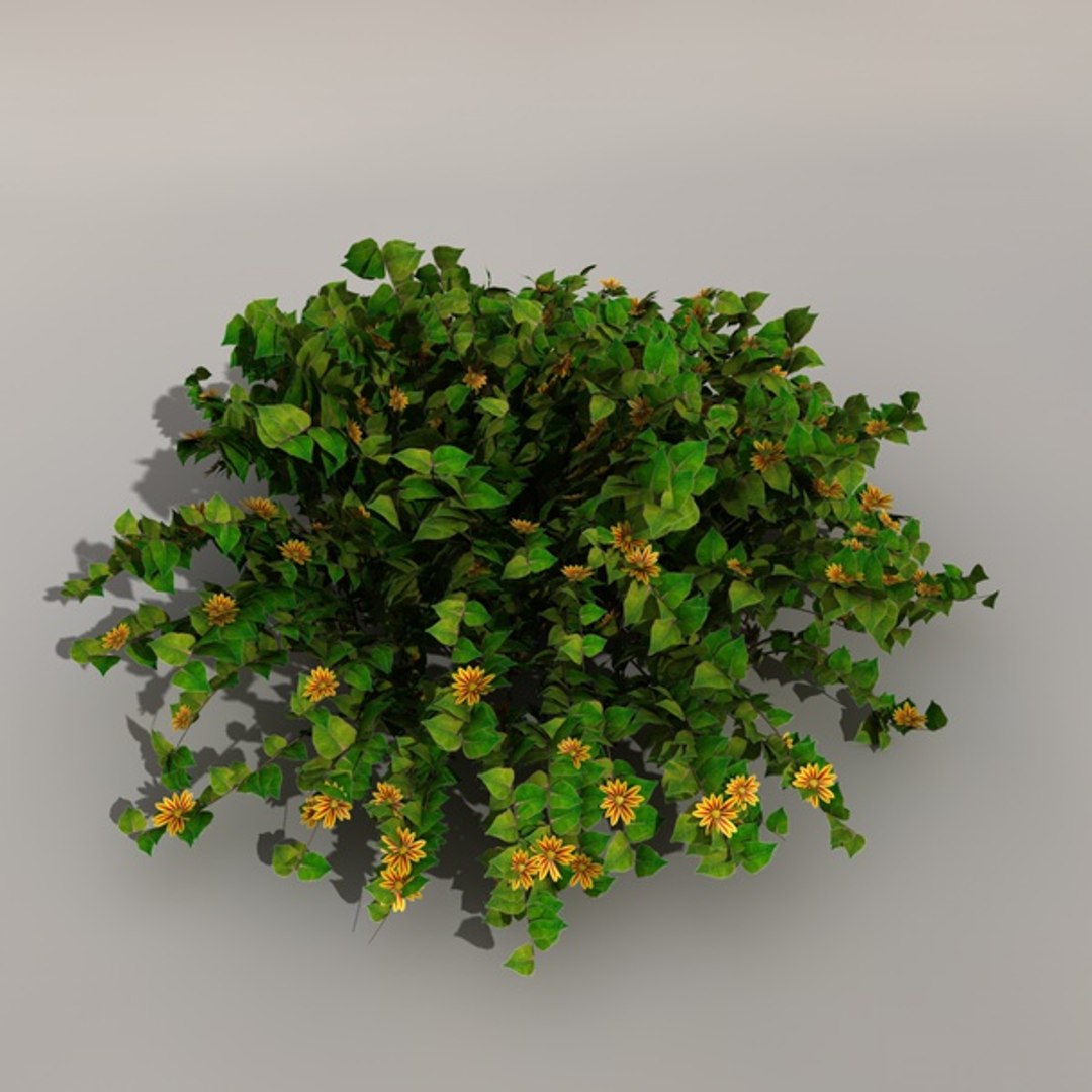 Bunch Colour Flowers 3d Model