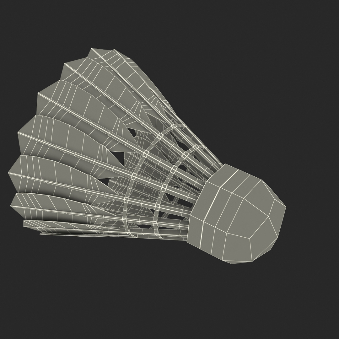 Shuttlecock Modeled Field 3d 3ds