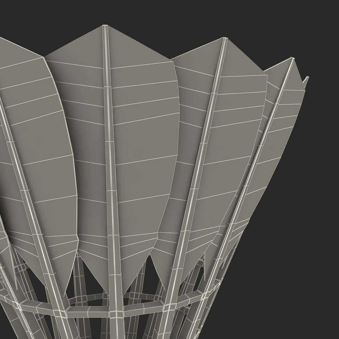 Shuttlecock Modeled Field 3d 3ds