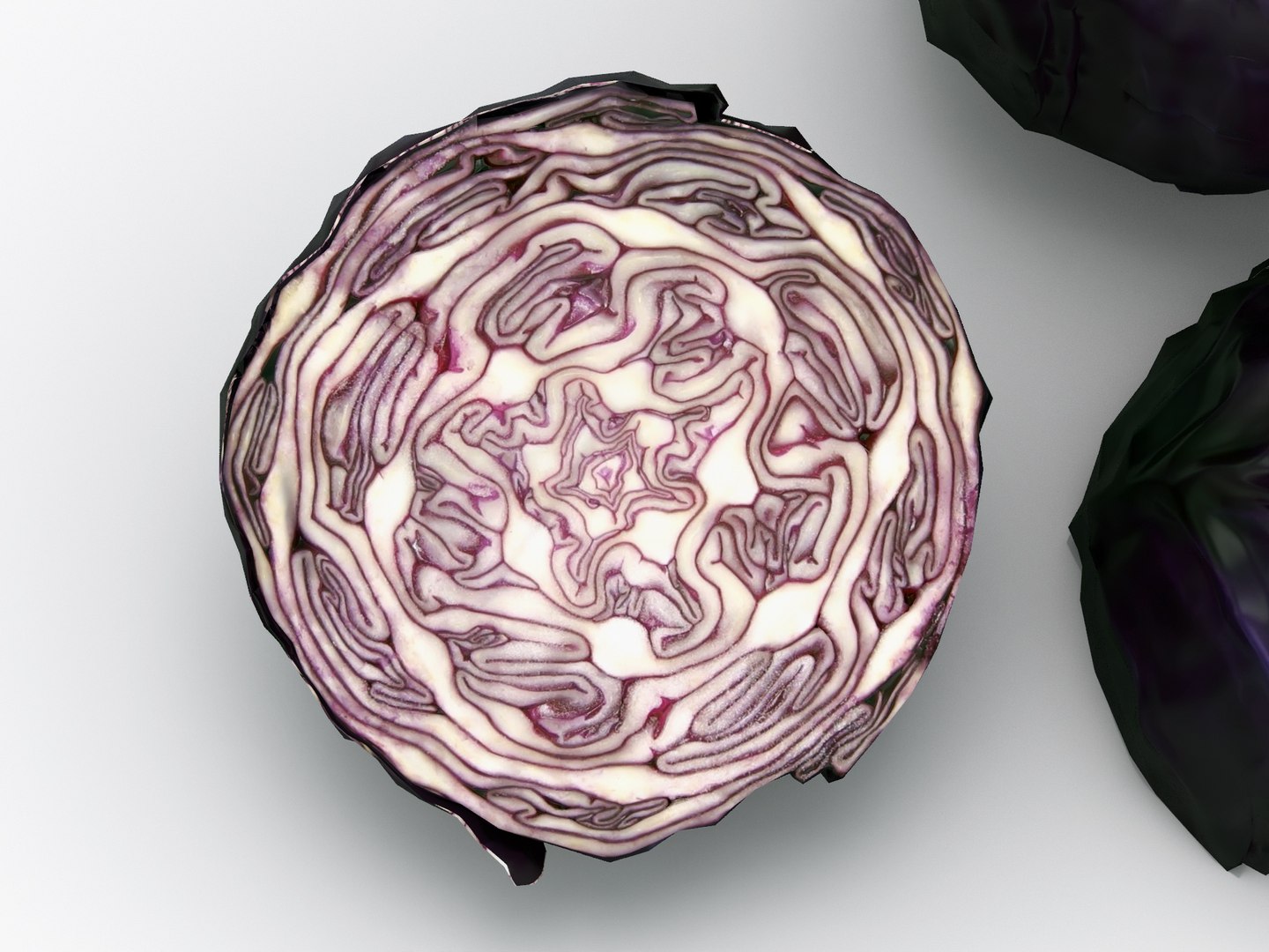 3D Purple Cabbage Model - TurboSquid 2178469