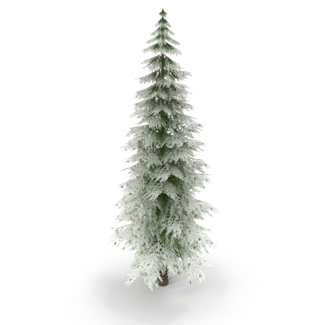 3D Canadian Spruce Tree Snow V1 - TurboSquid 2303915