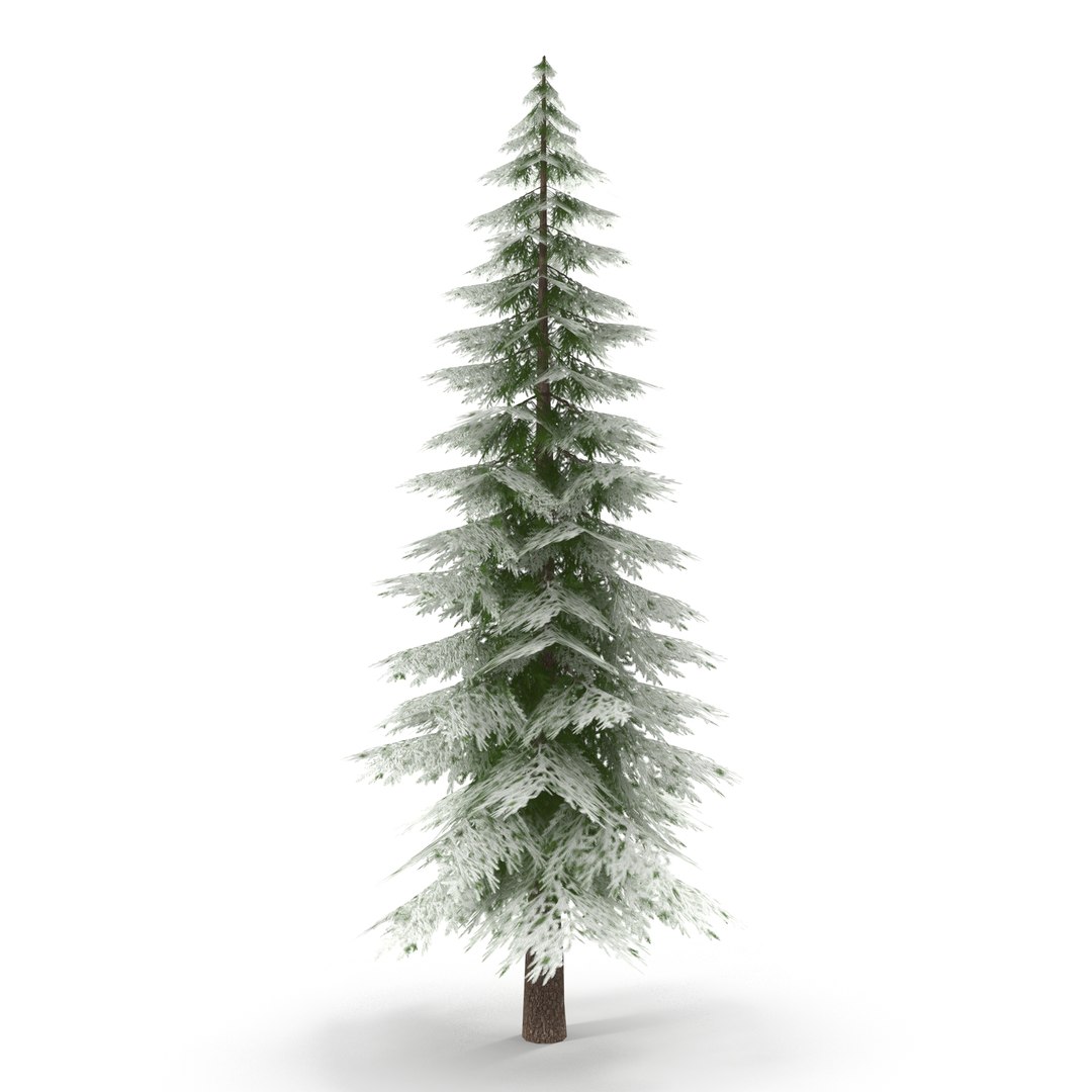 3D Canadian Spruce Tree Snow V1 - TurboSquid 2303915