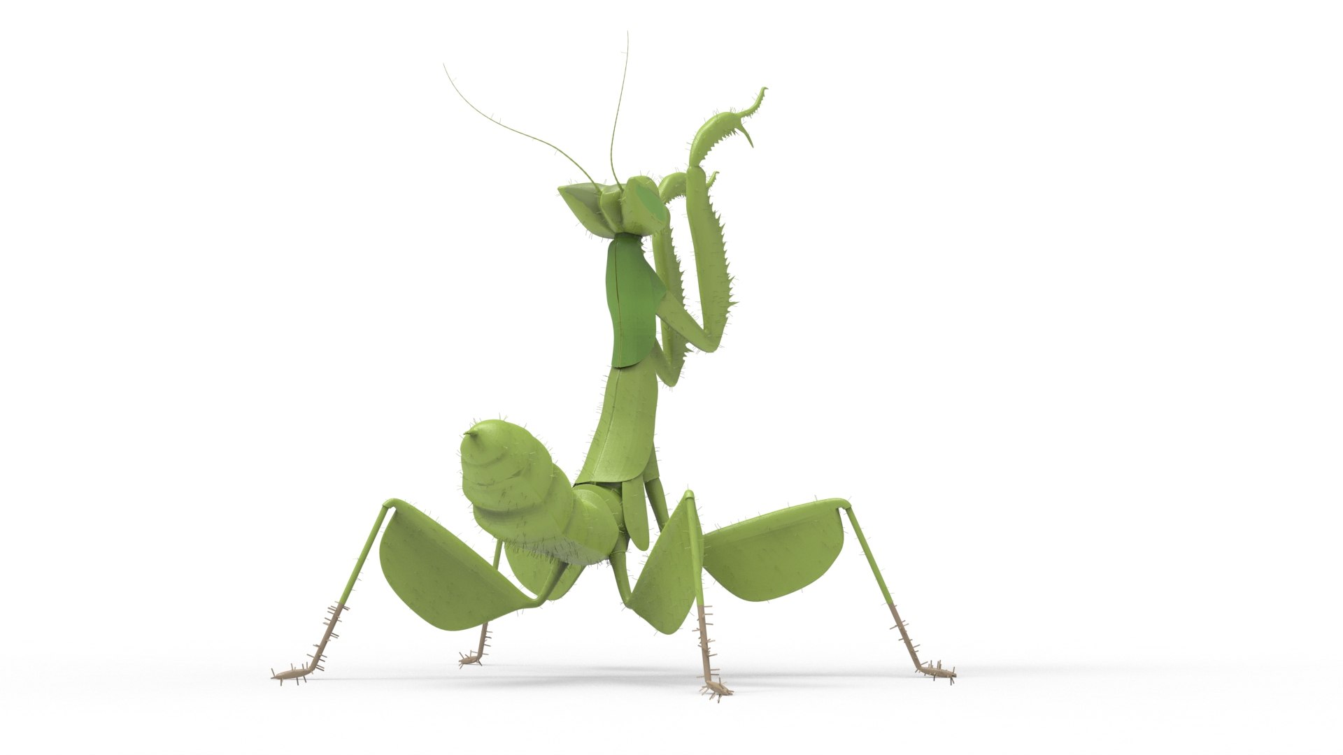 Big Green Grasshopper 3D - TurboSquid 2212293