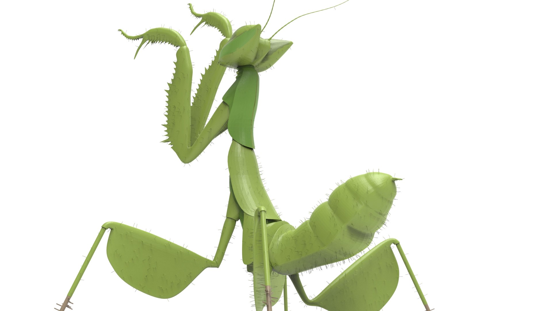 Big Green Grasshopper 3D - TurboSquid 2212293