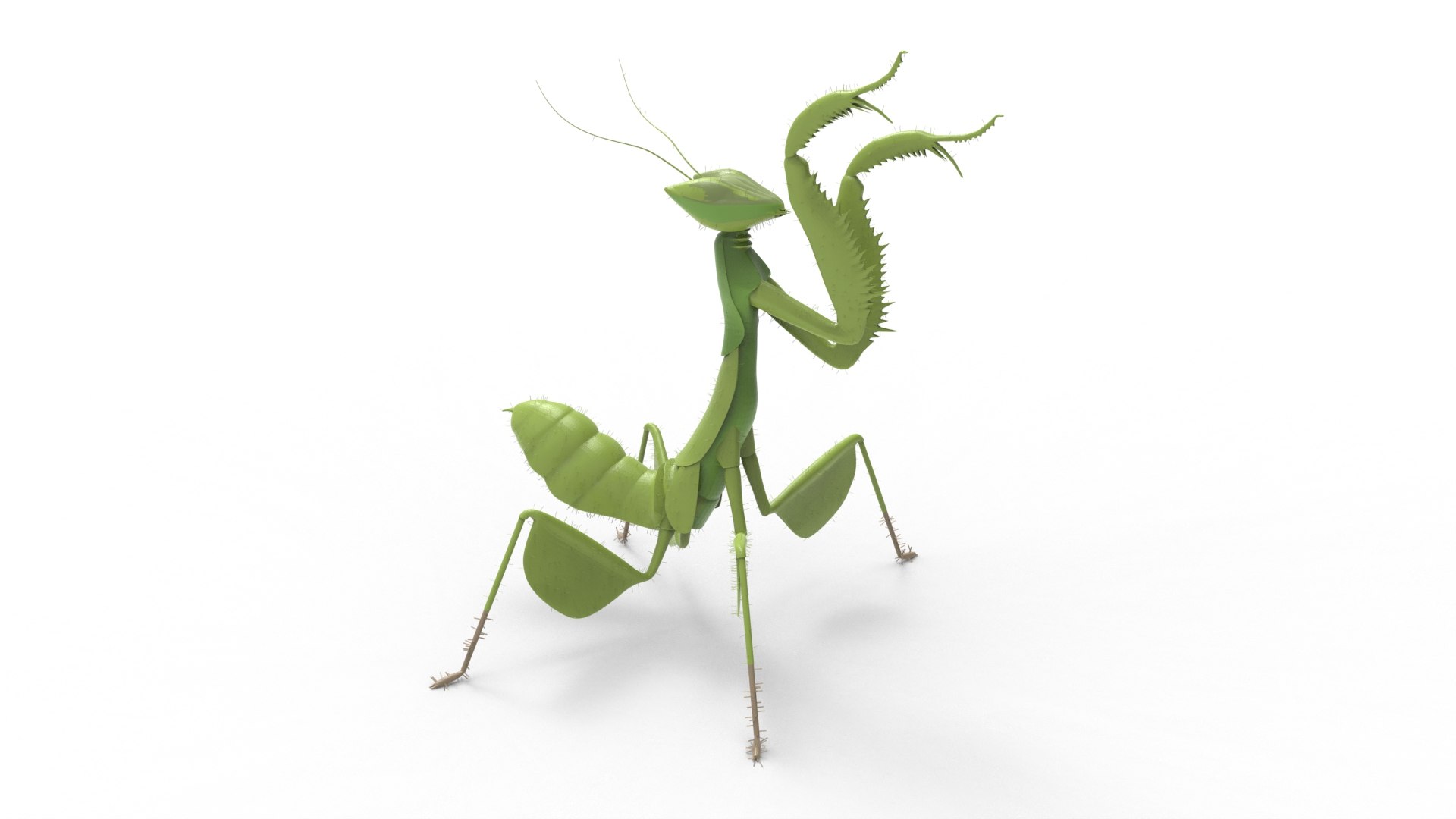 Big Green Grasshopper 3D - TurboSquid 2212293