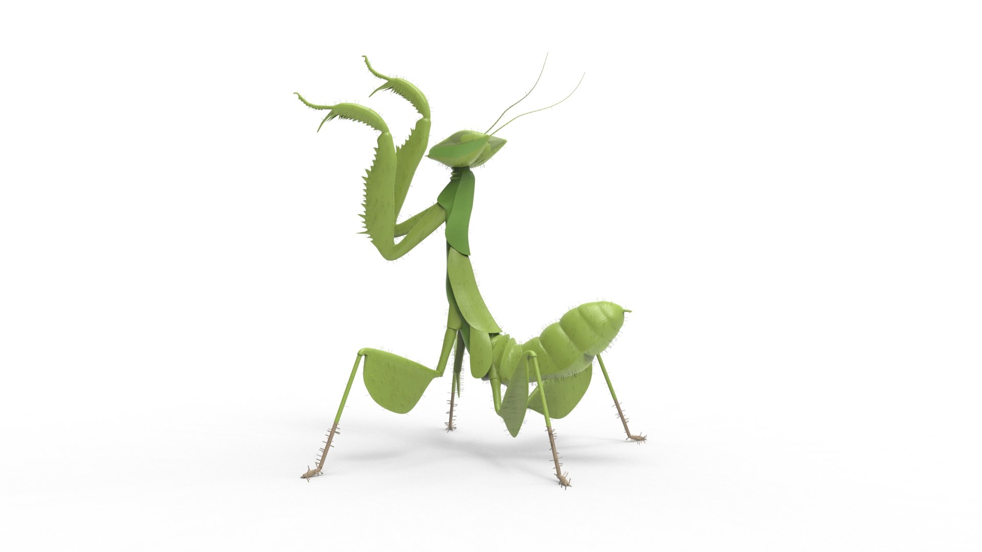 Big Green Grasshopper 3D - TurboSquid 2212293