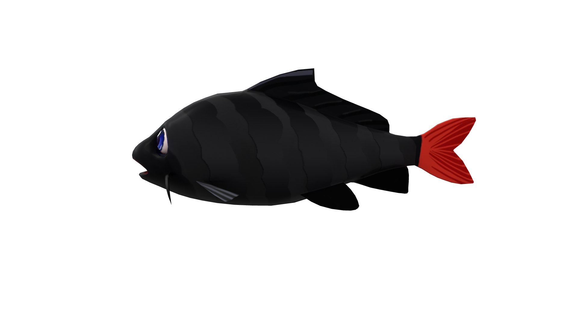 Red Tailed Black Shark