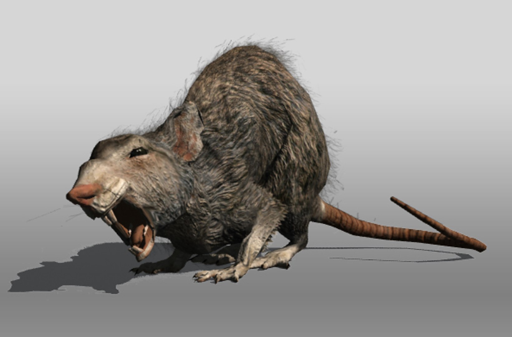 Rat Animations 3d 3ds