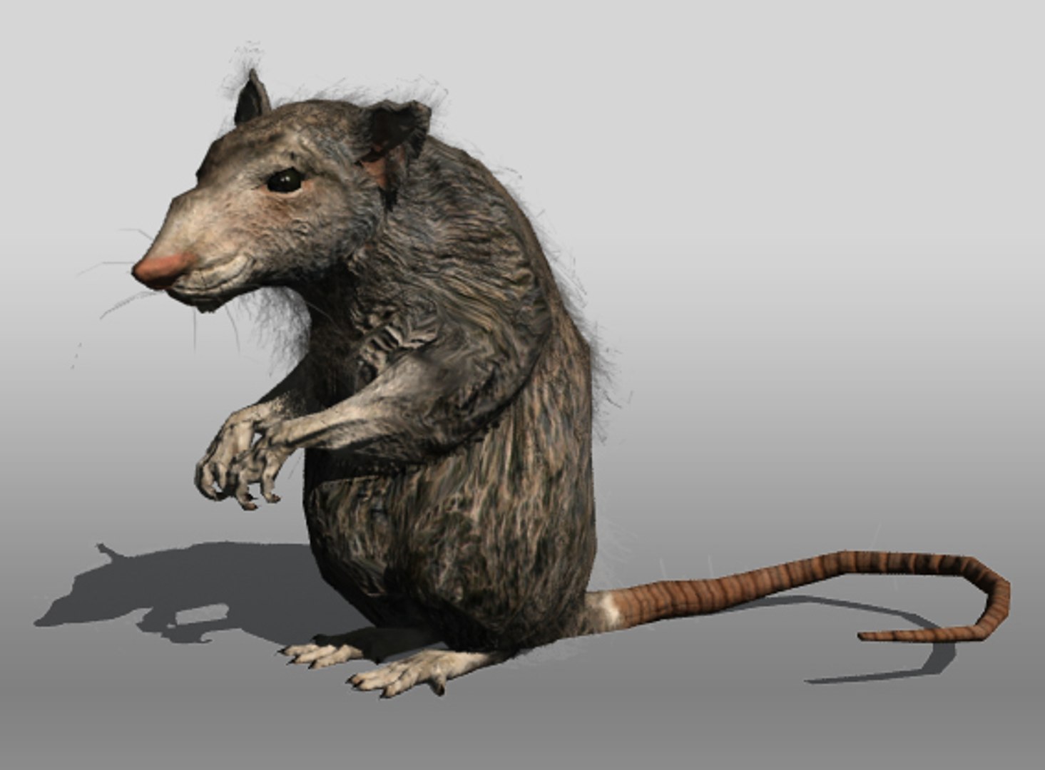 Rat Animations 3d 3ds
