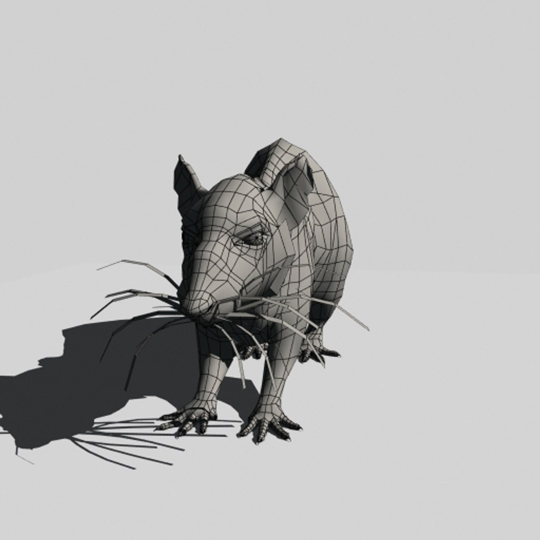Rat Animations 3d 3ds
