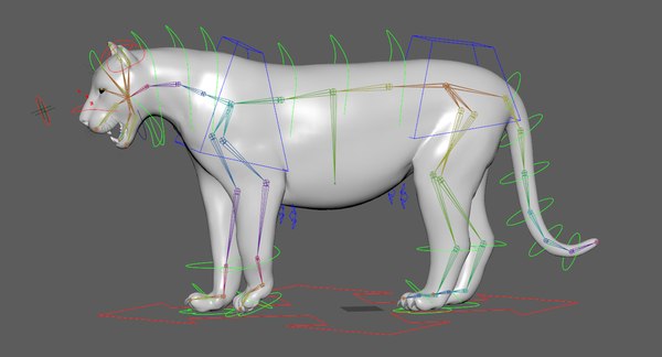 Tiger rigged 1 fur 3D - TurboSquid 1164932