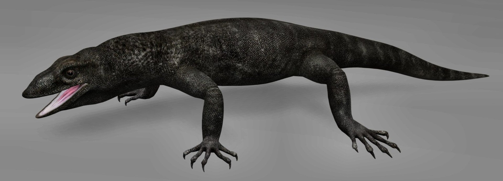Monitor Lizard 3d Model