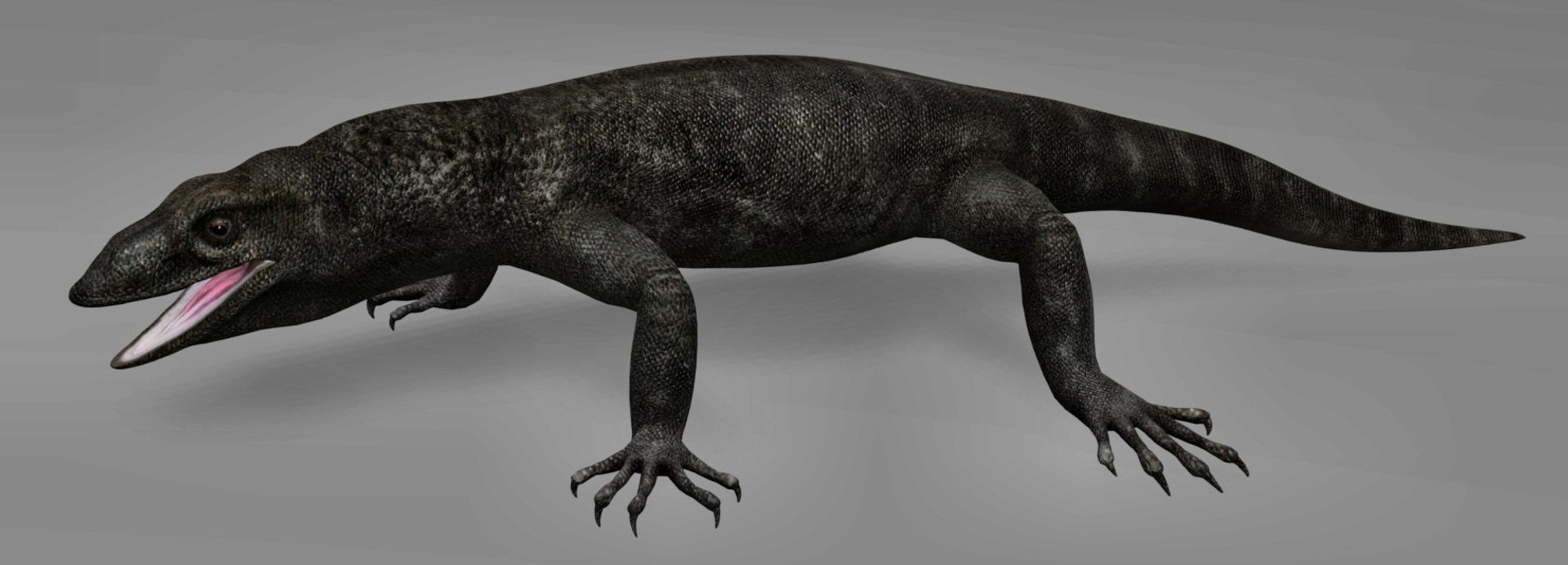 monitor lizard 3d model