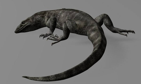 Animal 3D Models for Download | TurboSquid