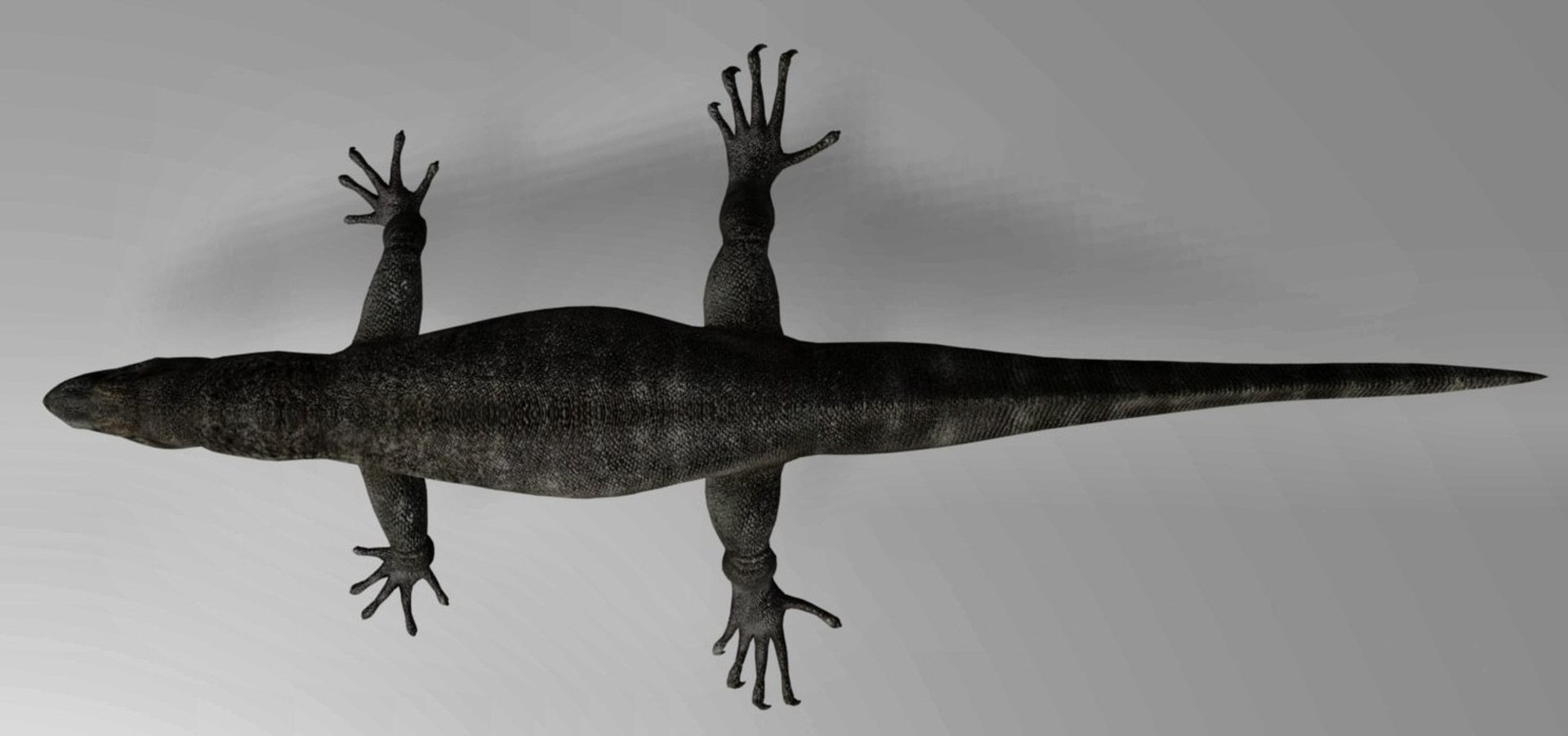 Monitor Lizard 3d Model