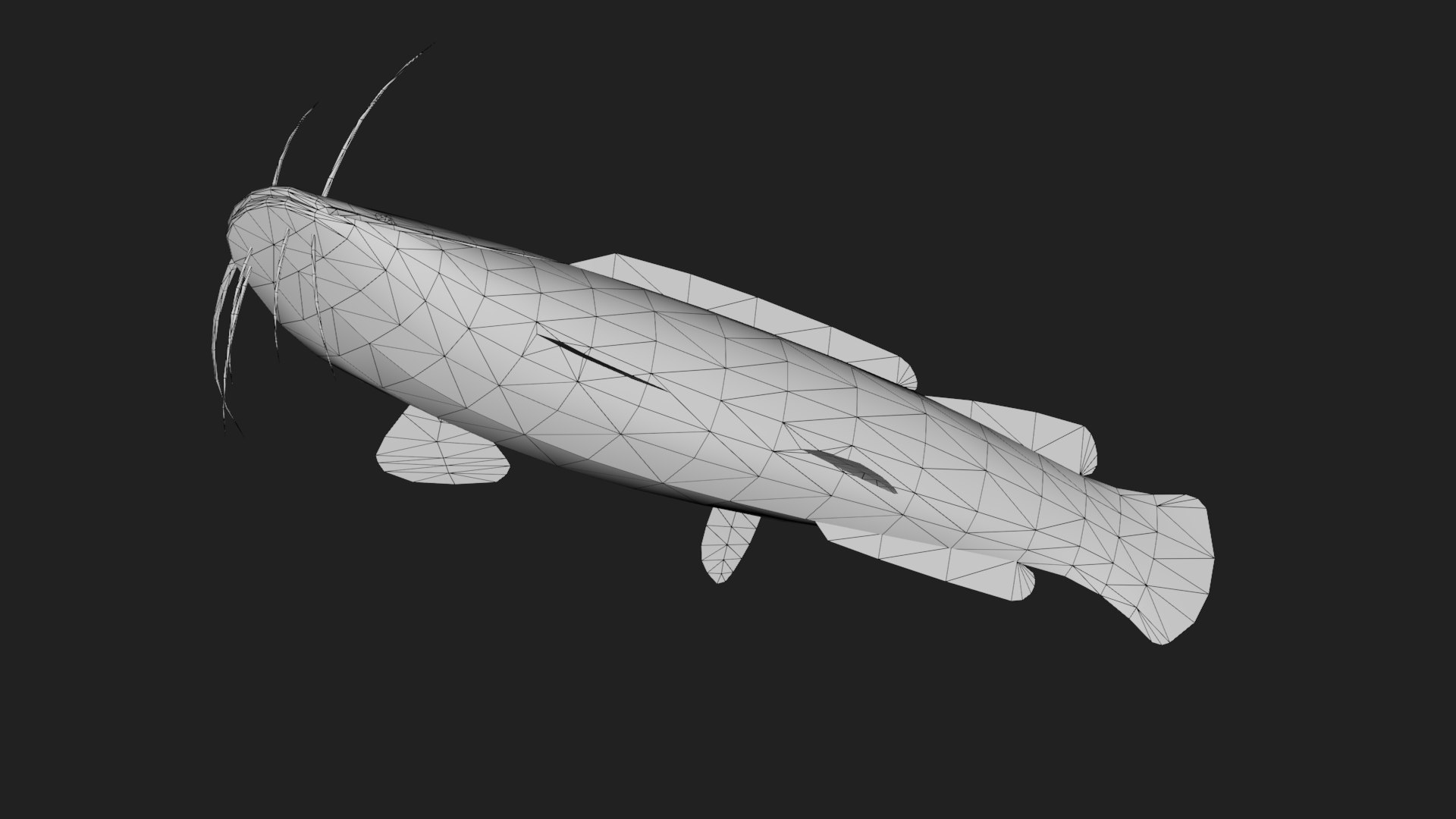 Catfish 3D - TurboSquid 2121587