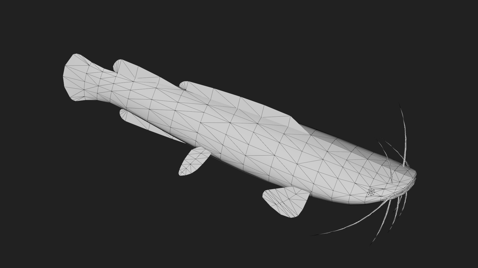Catfish 3D - TurboSquid 2121587