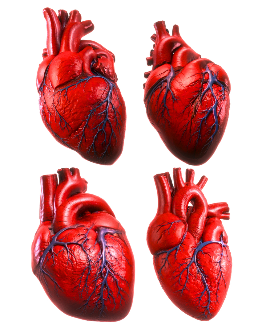 Heart 3D Model Pack 3D Model - TurboSquid 2365375