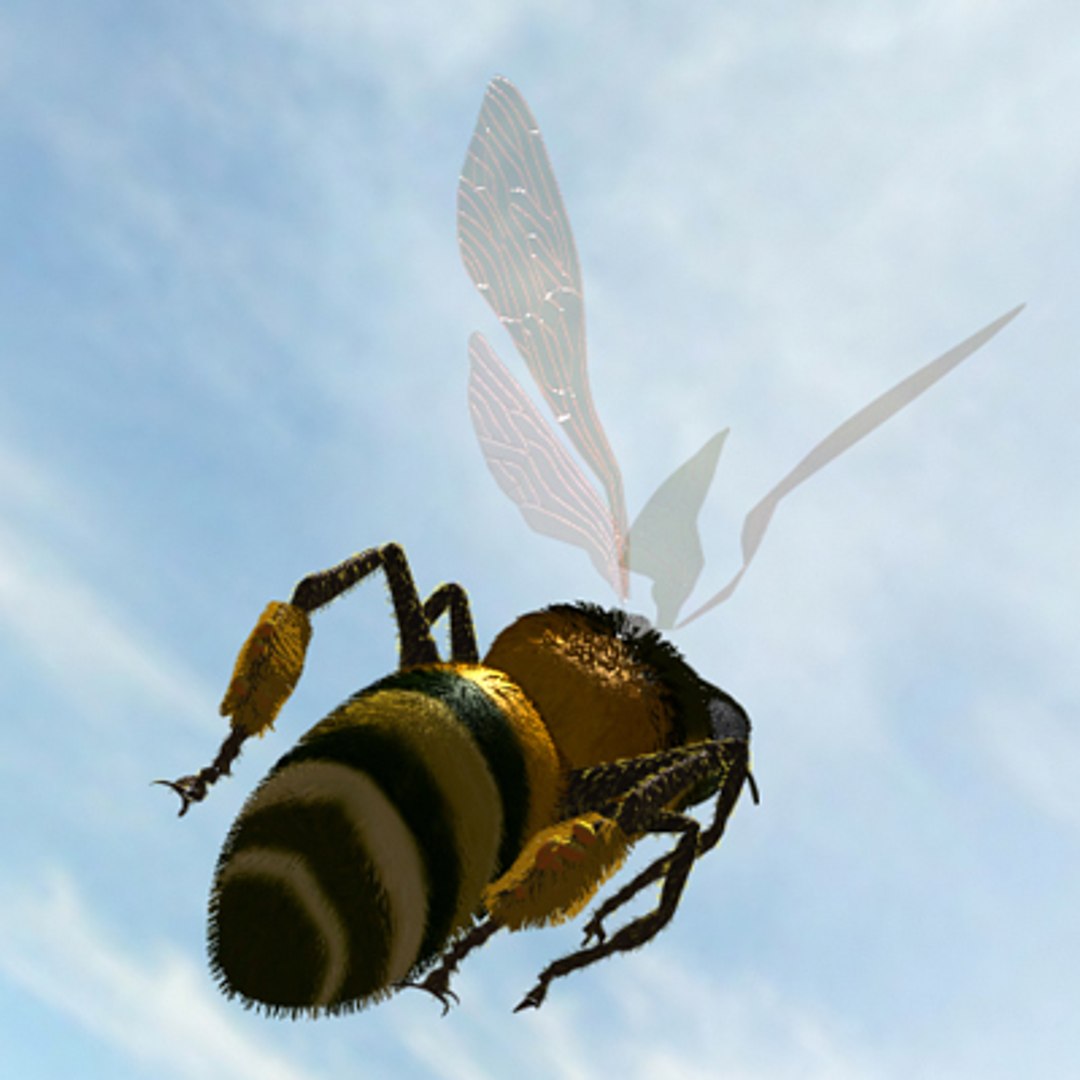 Max Bee Lightwave Honey