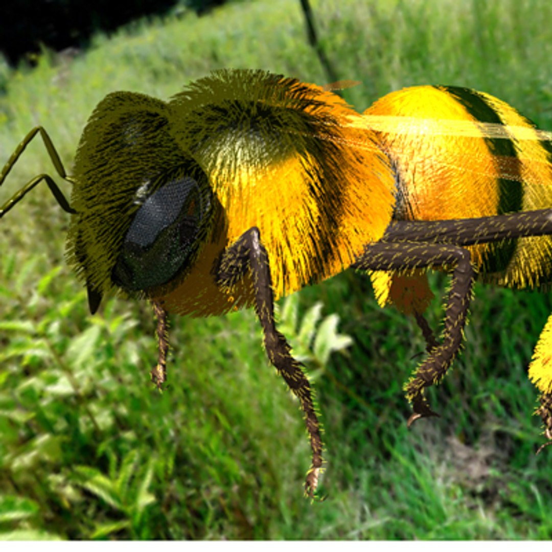 Max Bee Lightwave Honey