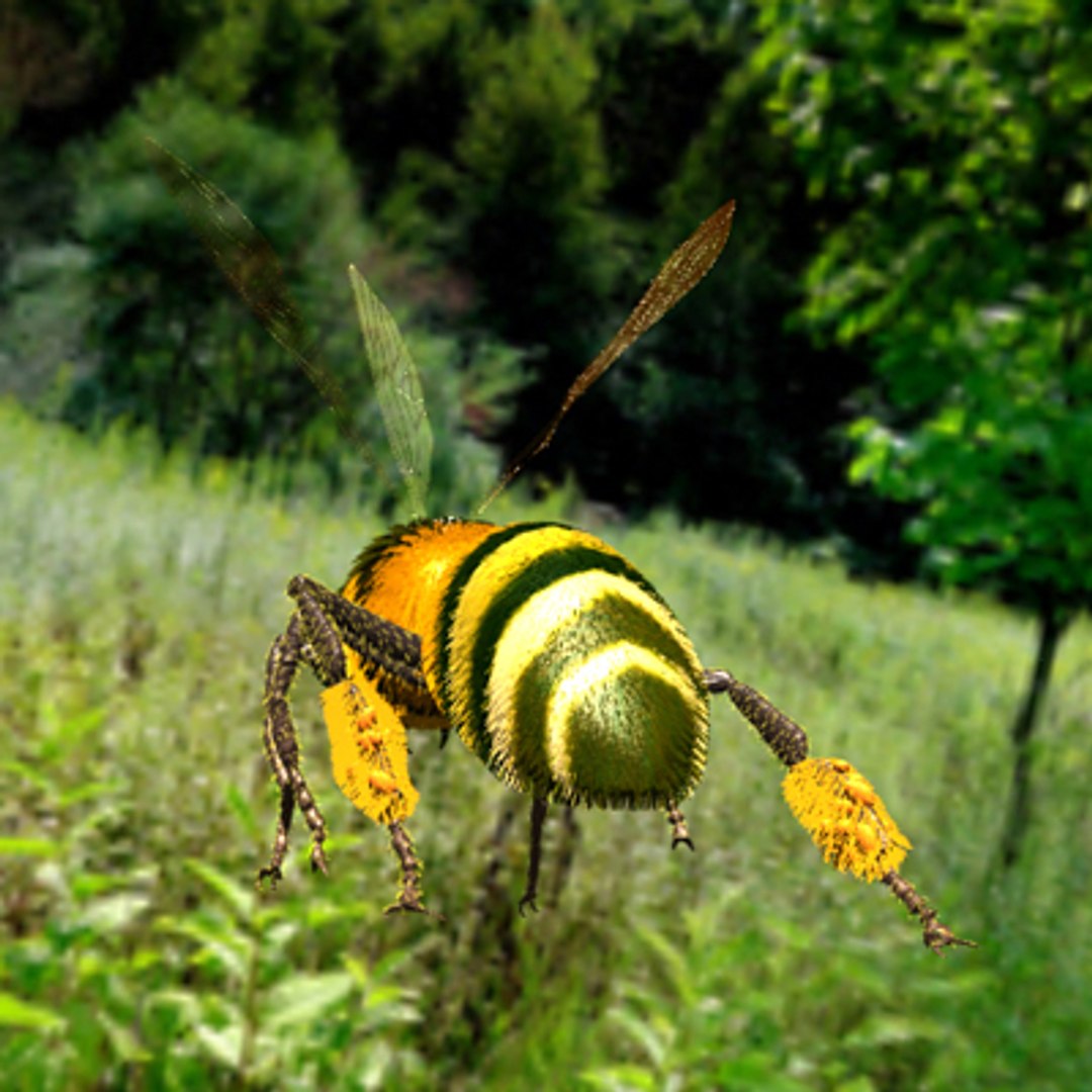 Max Bee Lightwave Honey