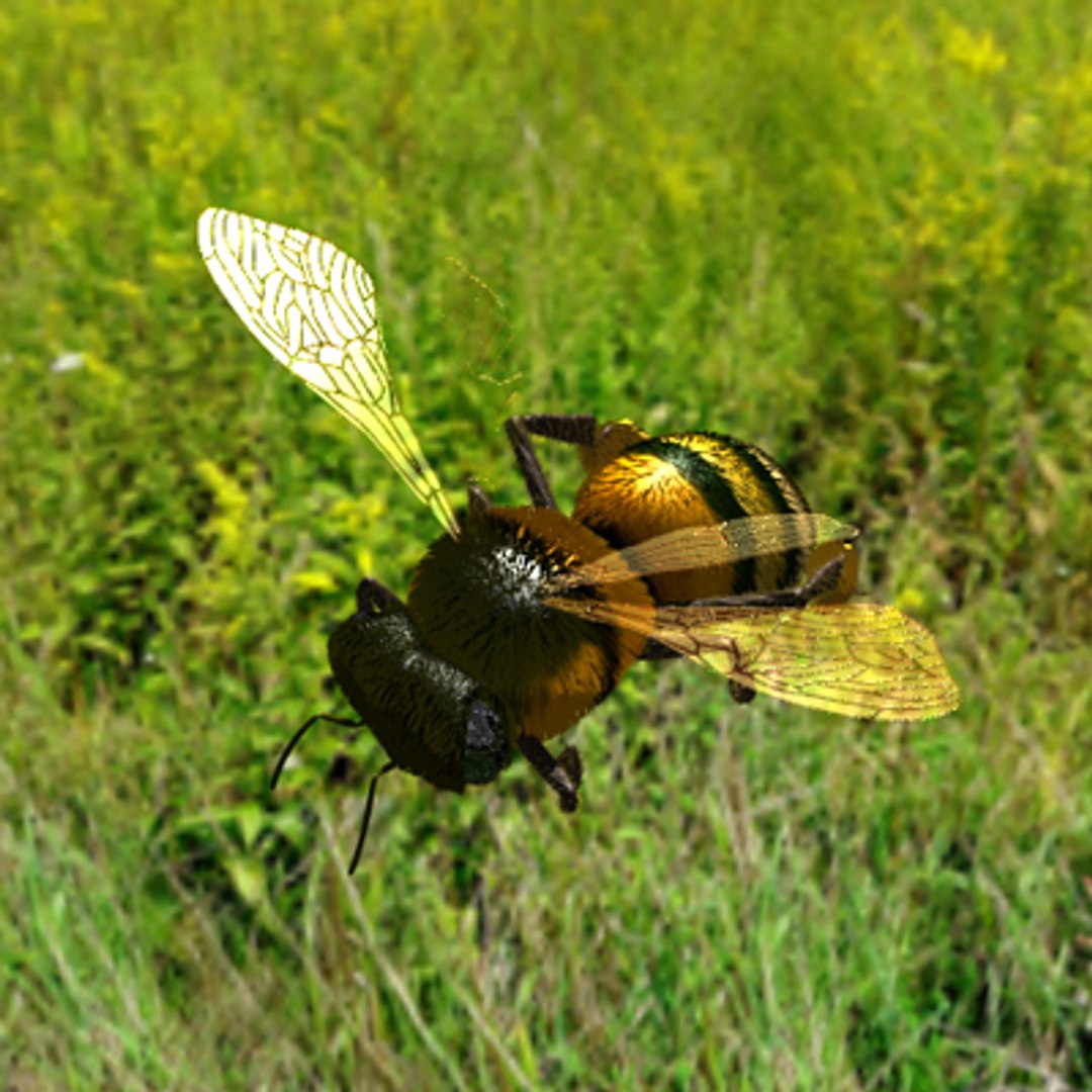 Max Bee Lightwave Honey