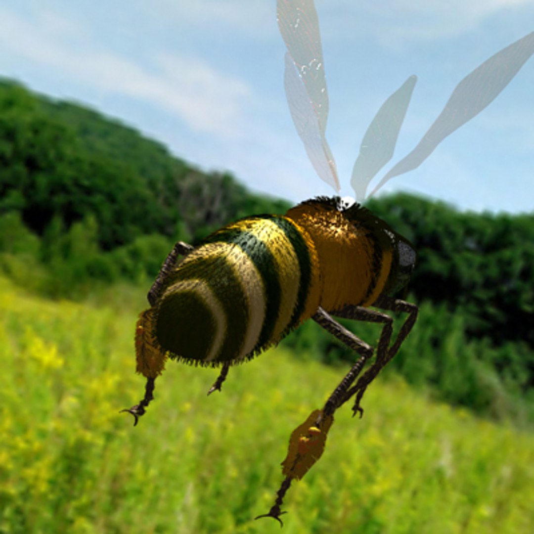 Max Bee Lightwave Honey