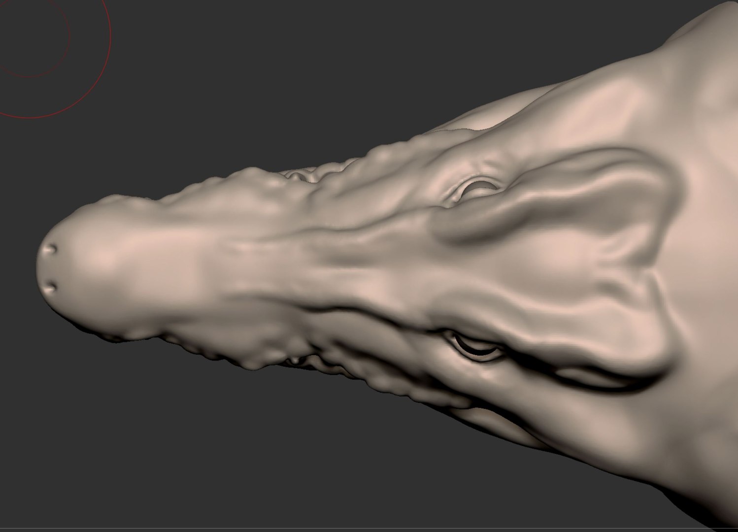 3D crocodile head model - TurboSquid 1281956