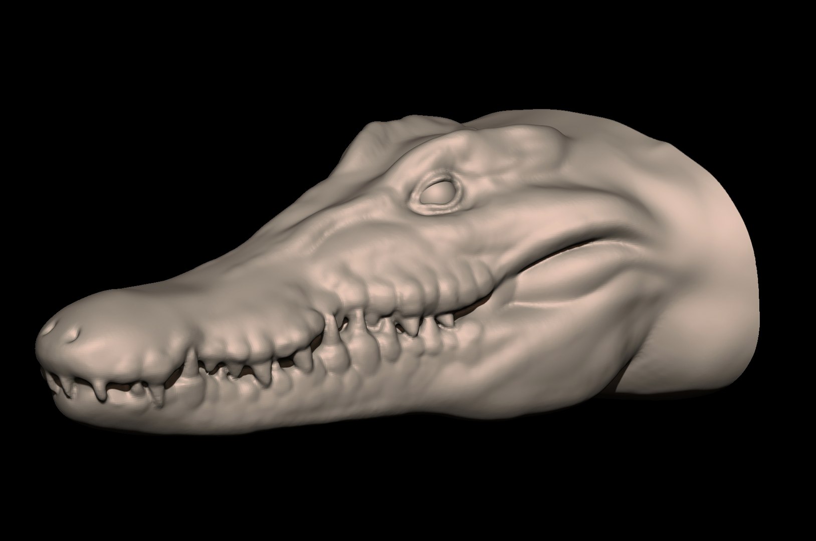 3D crocodile head model - TurboSquid 1281956