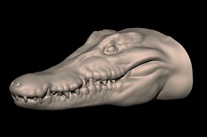 Dekeract 3D Models for Download | TurboSquid