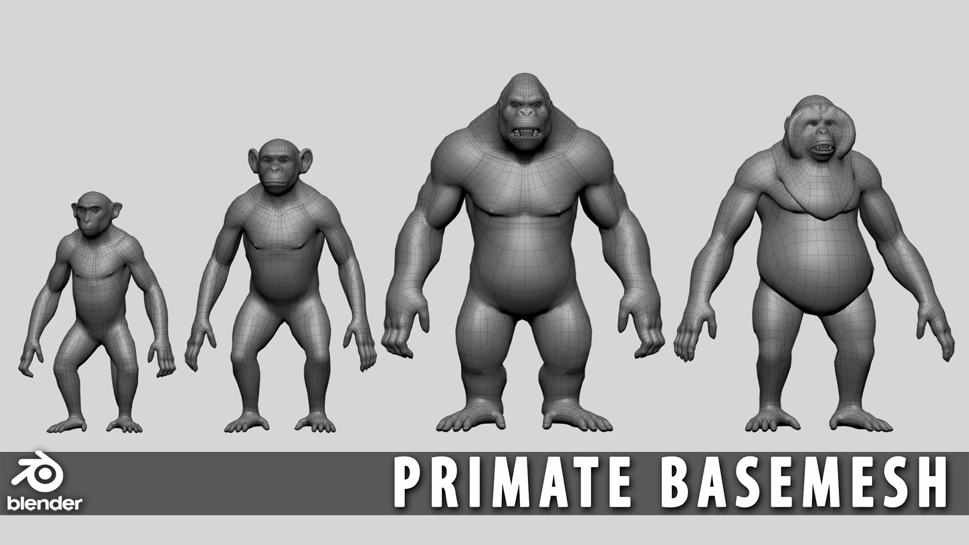 3D Primate Basemesh - TurboSquid 2235709