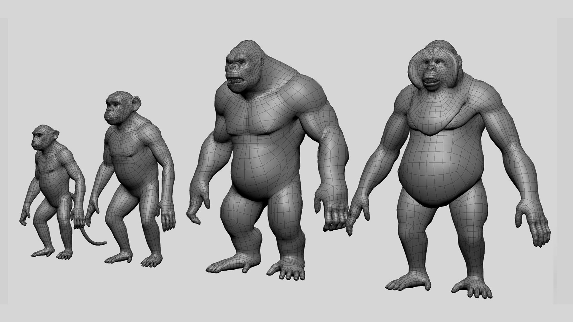 3D Primate Basemesh - TurboSquid 2235709