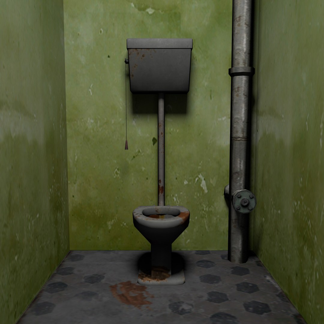 3d Dirty Toilet Dirt Model