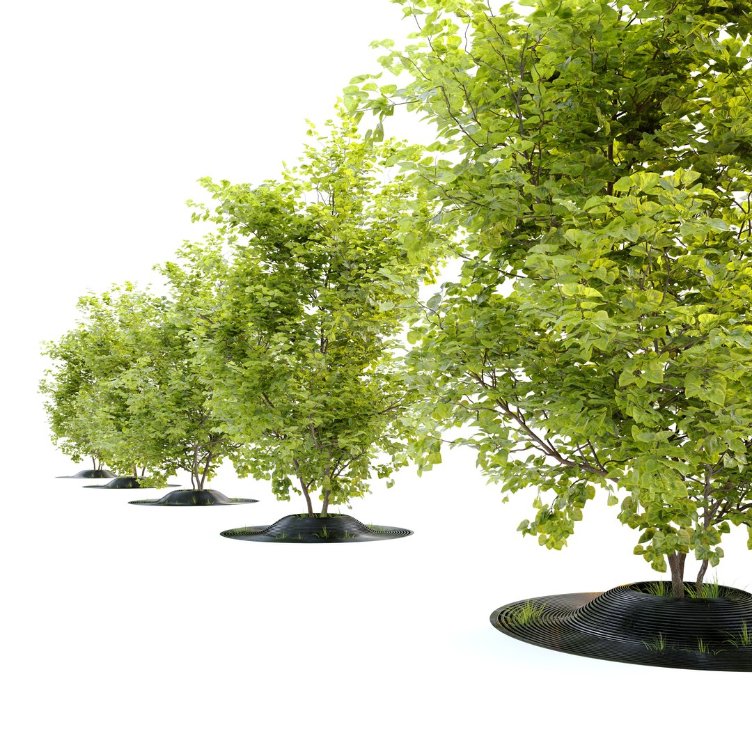 Linden Tree In Metal Grate 3D Model - TurboSquid 1956374