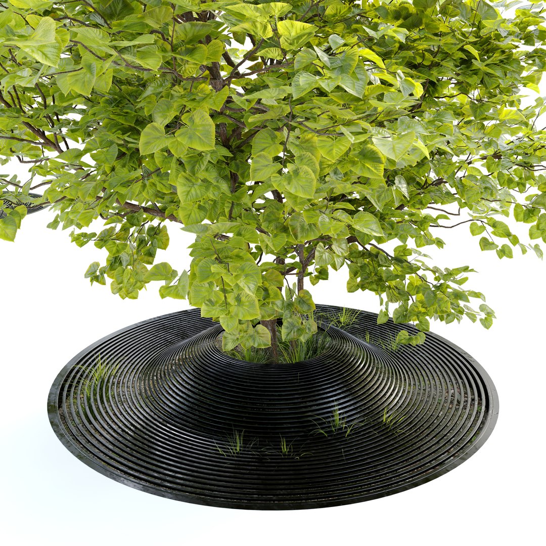 Linden Tree In Metal Grate 3D Model - TurboSquid 1956374