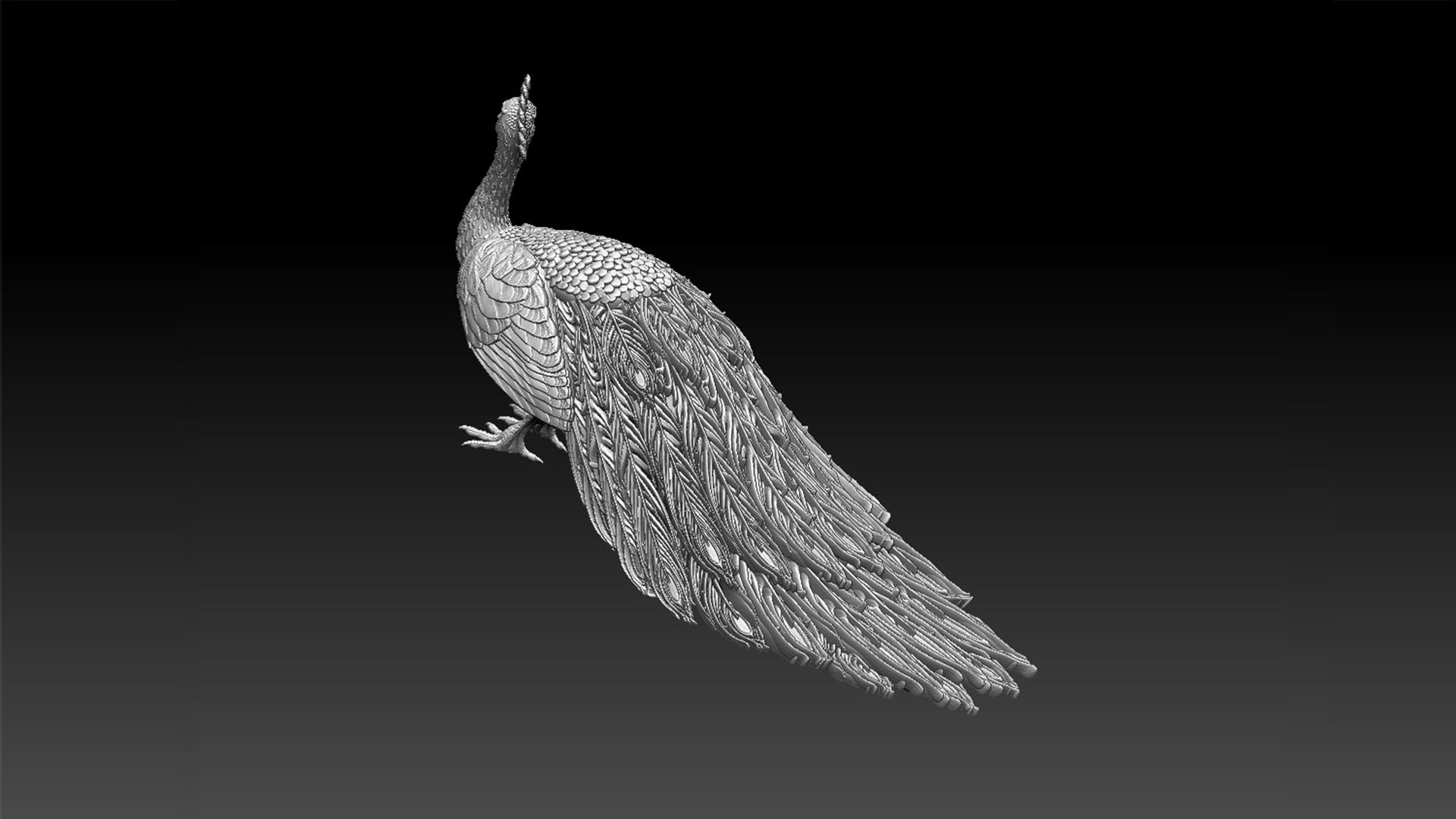3D peacock - TurboSquid 1957383